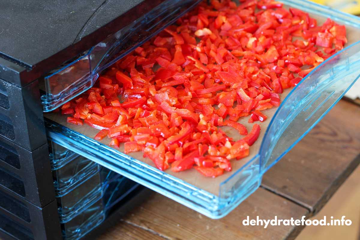 DEHYDRATE VEGETABLES – READ THIS GUIDE!