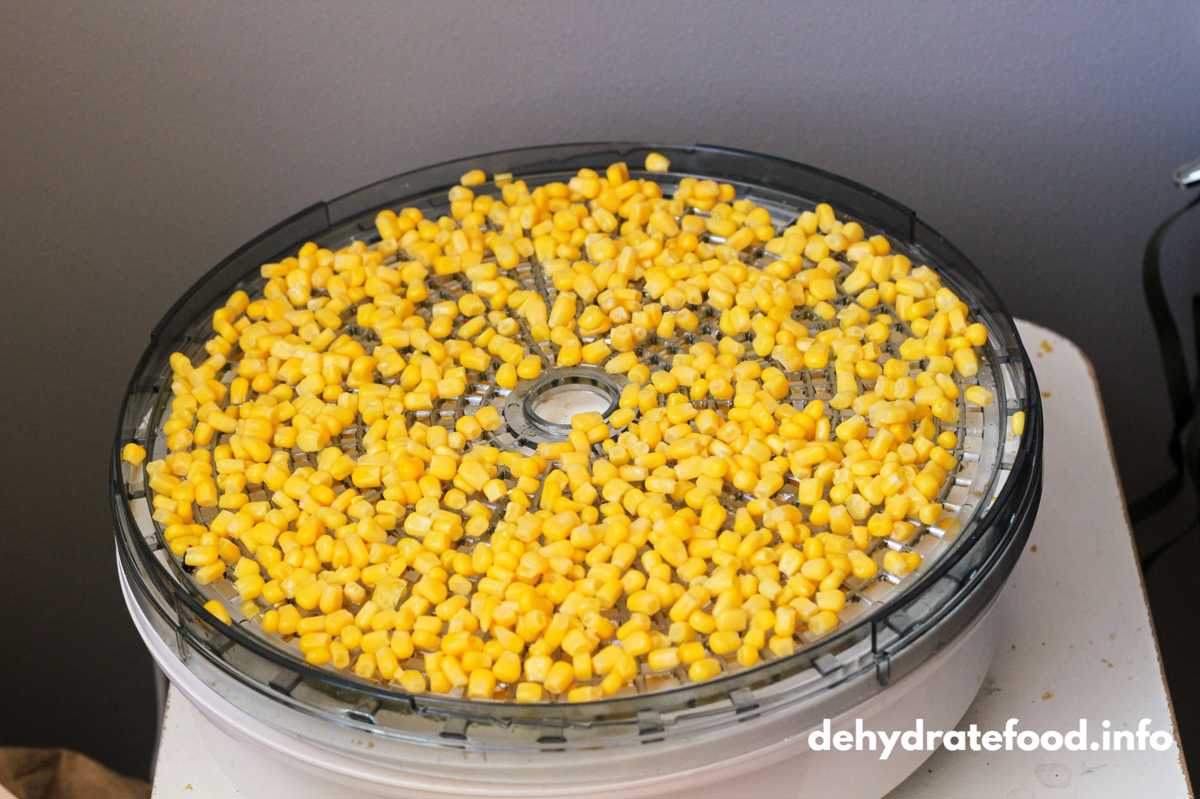 DEHYDRATE VEGETABLES – READ THIS GUIDE!