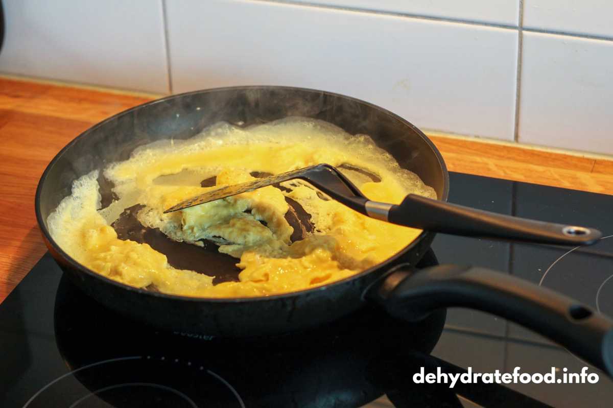 DEHYDRATE EGG - LEARN HOW IN A SAFE WAY!