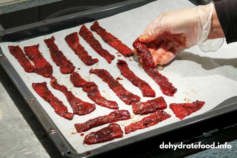 DEHYDRATE MEAT - learn how in a safe way!